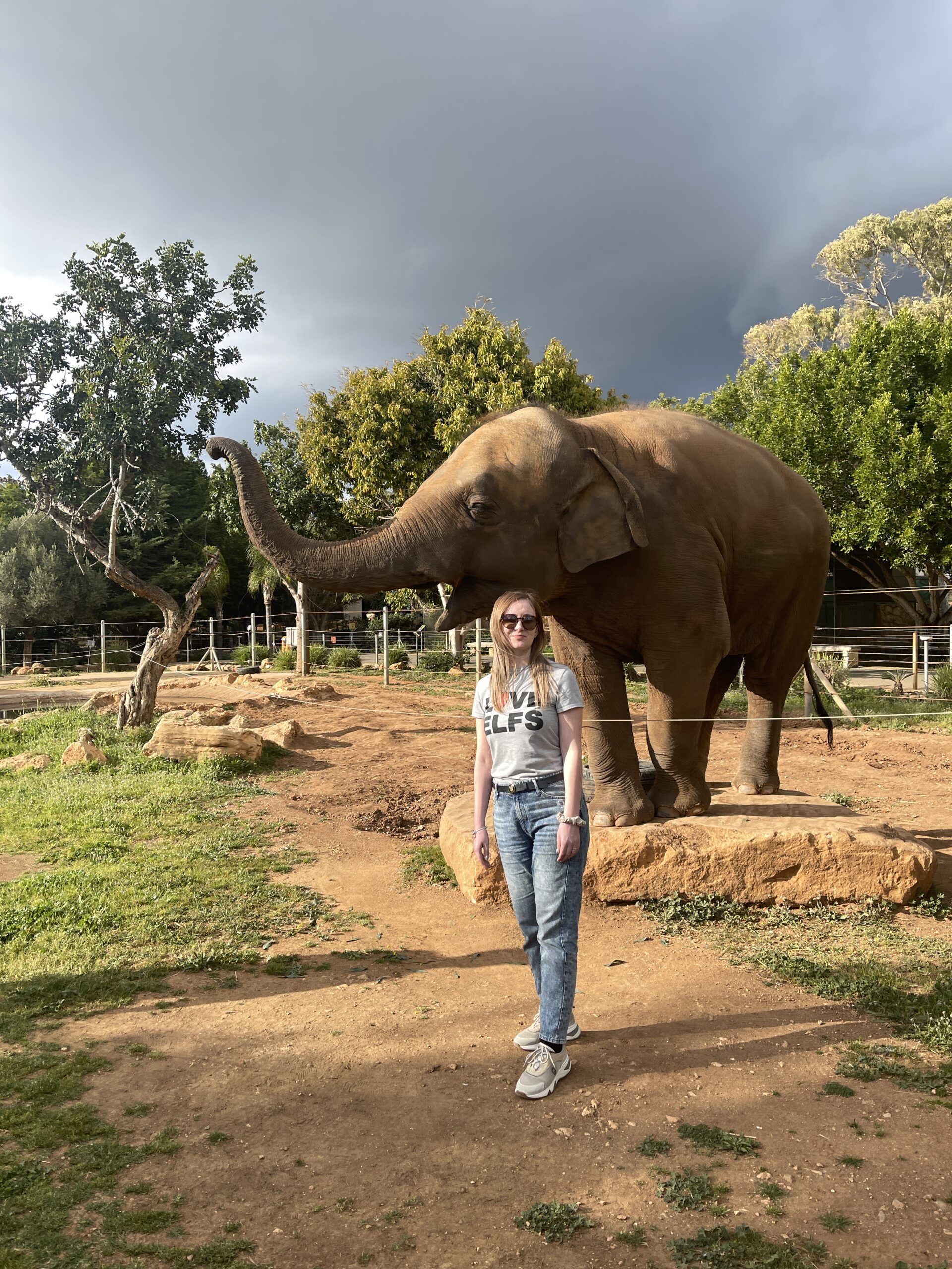 Pafos Zoo na Cipru - Benada travel