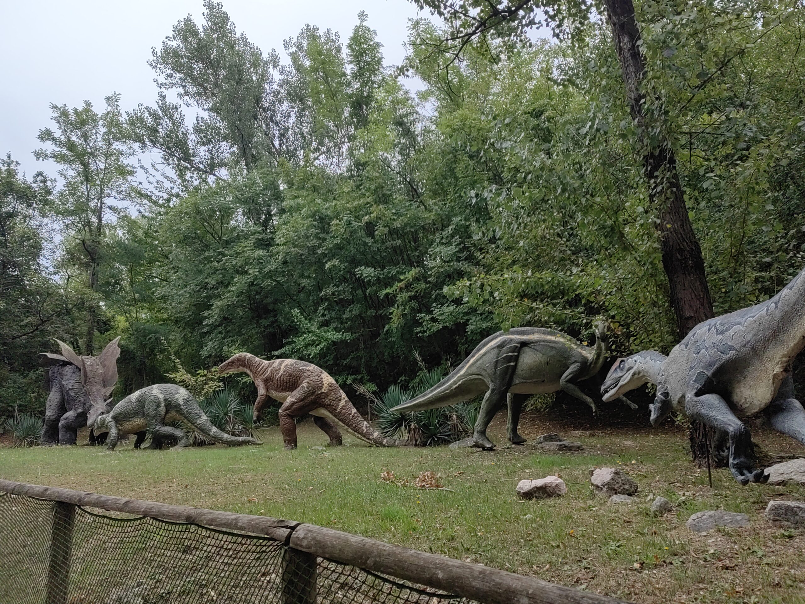 Parco Natura Viva zoološki vrt u Italiji - Benada travel